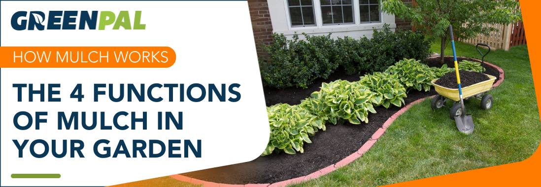 How Mulch Works: The 4 Functions of Mulch in Your Garden | GreenPal