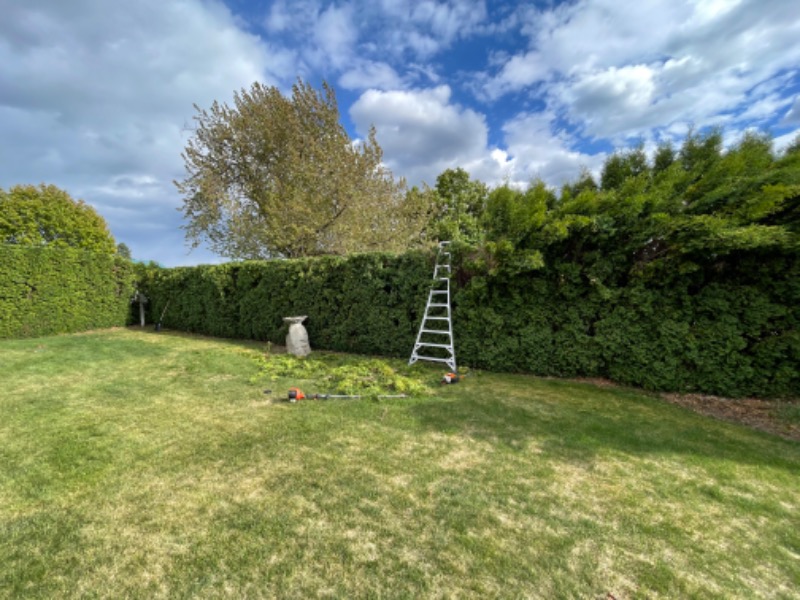 Clean Green Lawn Care Lawn Care Services in Spokane Valley, WA