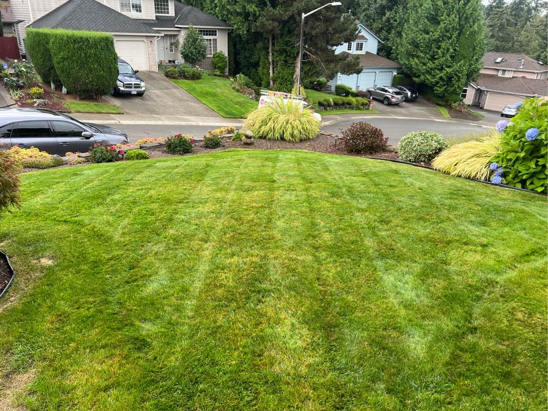 Limitless Outdoor Svc Lawn Care Services in Kent, WA