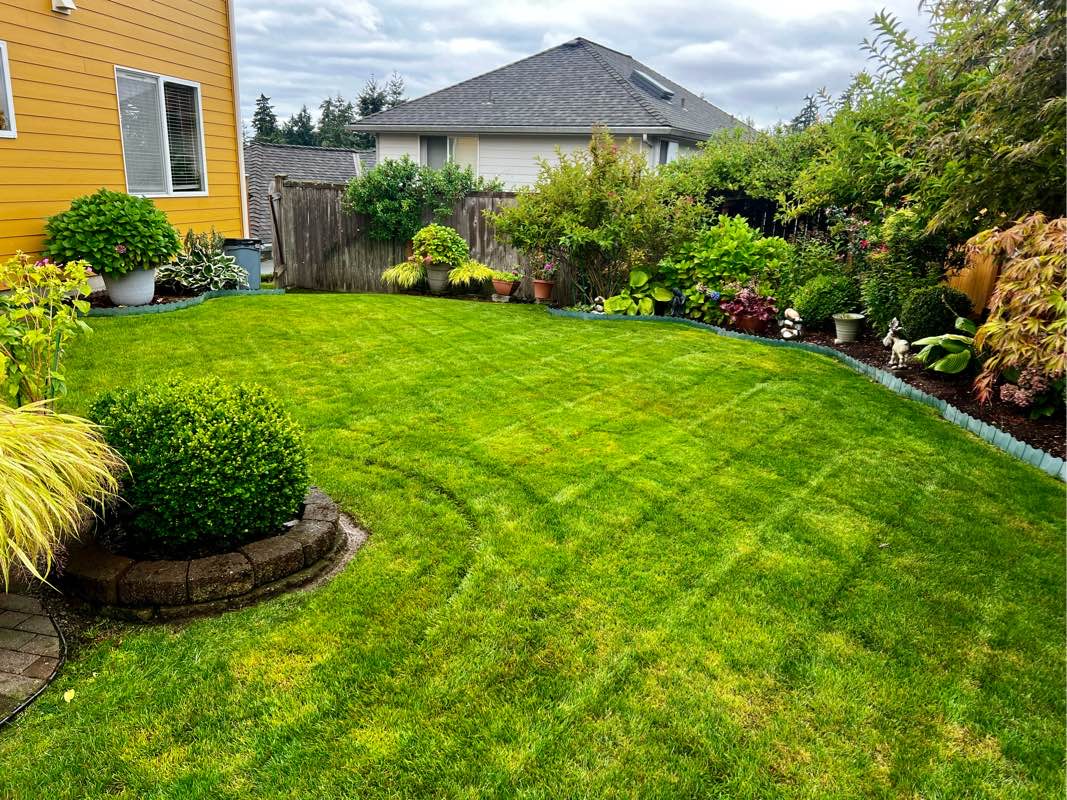 Limitless Outdoor Svc Lawn Care Services in Kent, WA