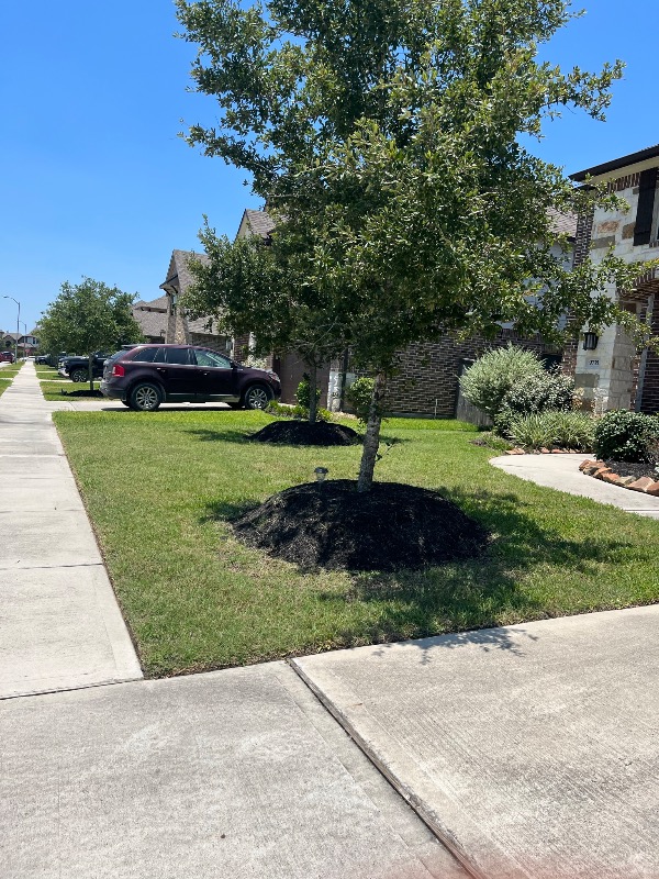 Finishing Touch Lawn Lawn Care Services in San Antonio, TX