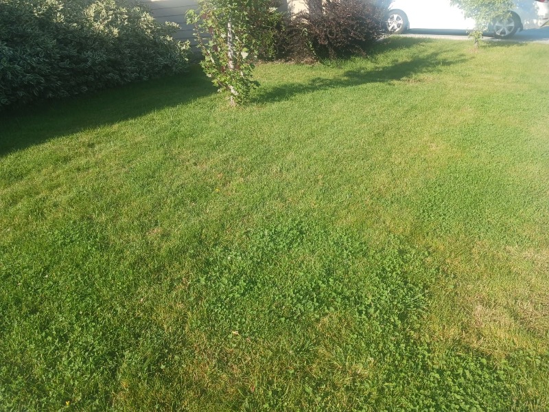 Superhuman Landscape Lawn Care Services in Boise, ID