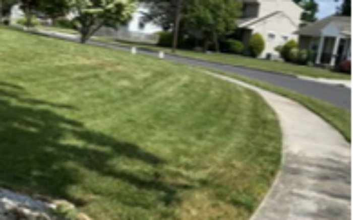 Baby Del Landscaping Lawn Care Services in Philadelphia, PA
