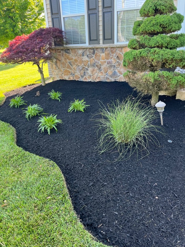 Band C Landscaping Lawn Care Services in Bridgeton, NJ