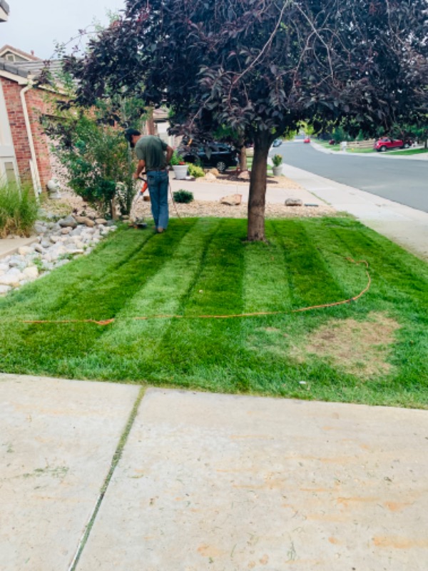 Cb Lawn Services Lawn Care Services in Aurora, CO