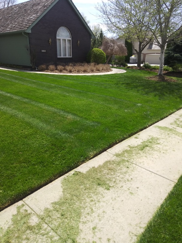 Loyalty Lawns Lawn Care Services in Omaha, NE