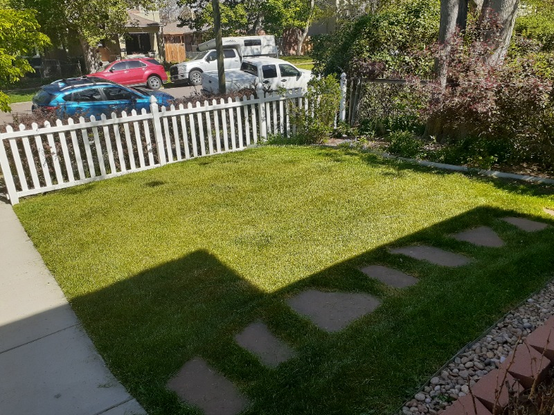 Next Level Landscapi Lawn Care Services in Aurora, CO