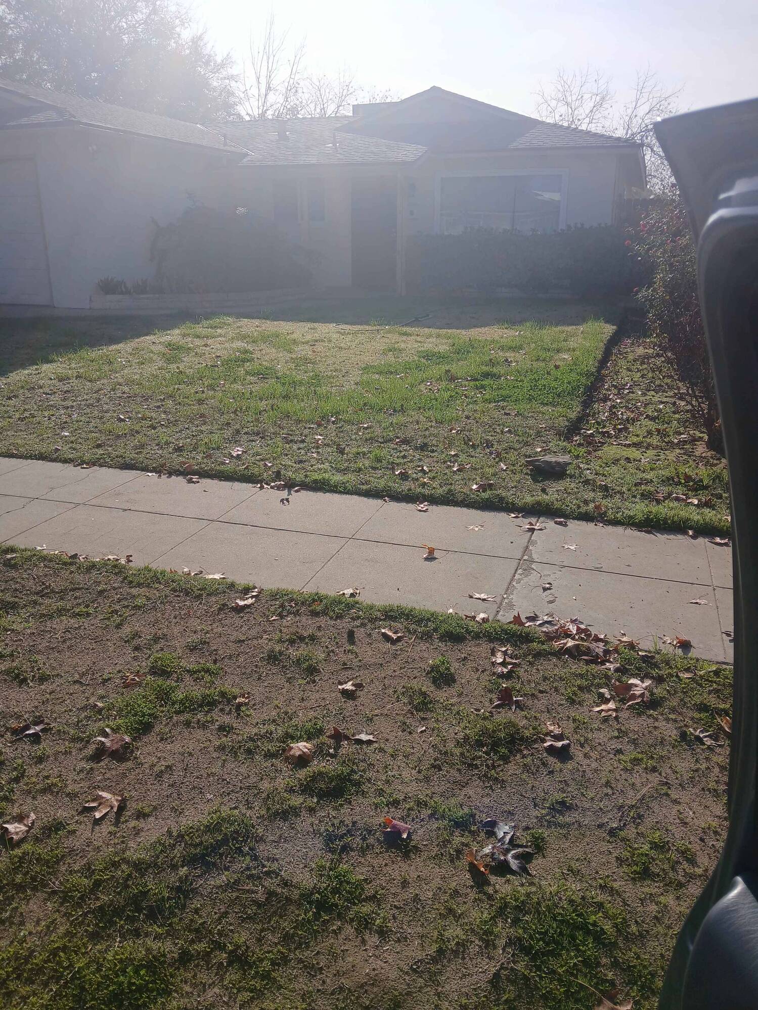 Clean Cut Lawn Servi Lawn Care Services in Fresno, CA