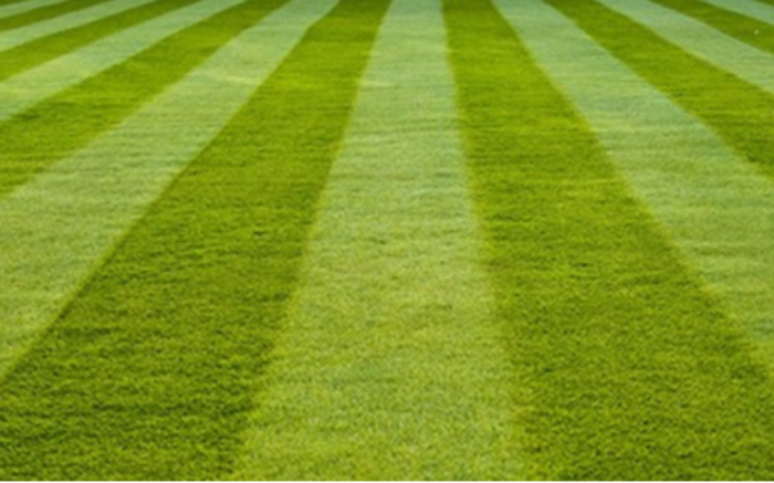 Eco Scapes Lawn Care Services in Horace, ND