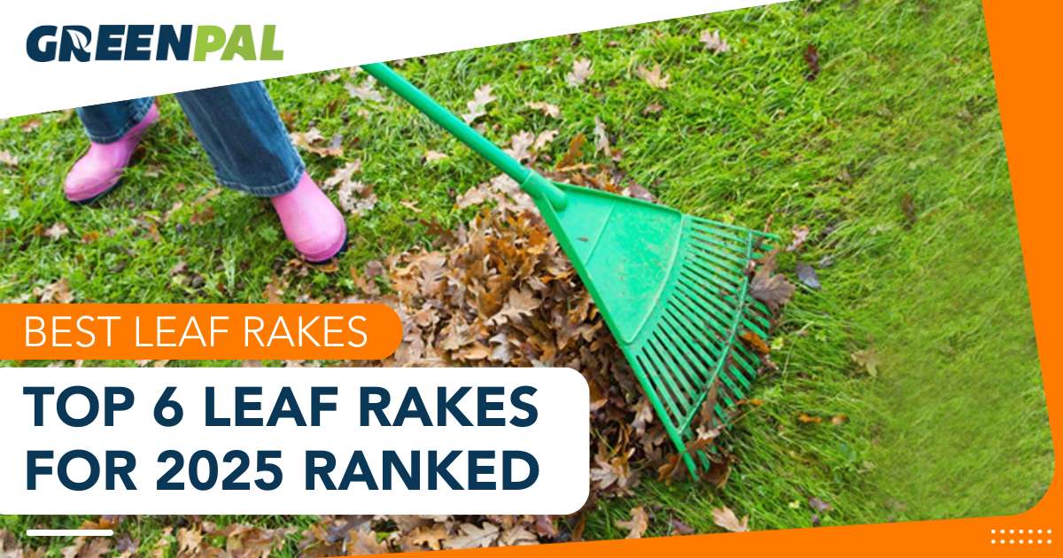 6 Best Leaf Rakes of 2025 | GreenPal