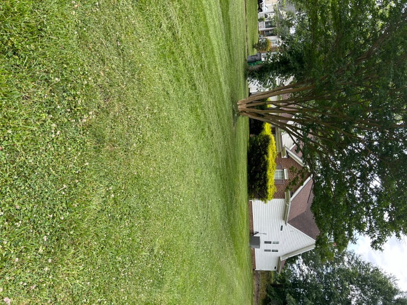 Grass Shark Lawn Car Lawn Care Services in Charlotte, NC