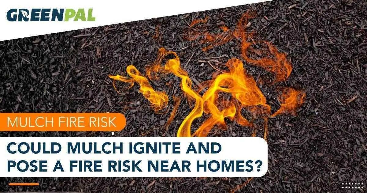 Could mulch catch fire and burn down a home? (4 Tips to Avoid Mulch