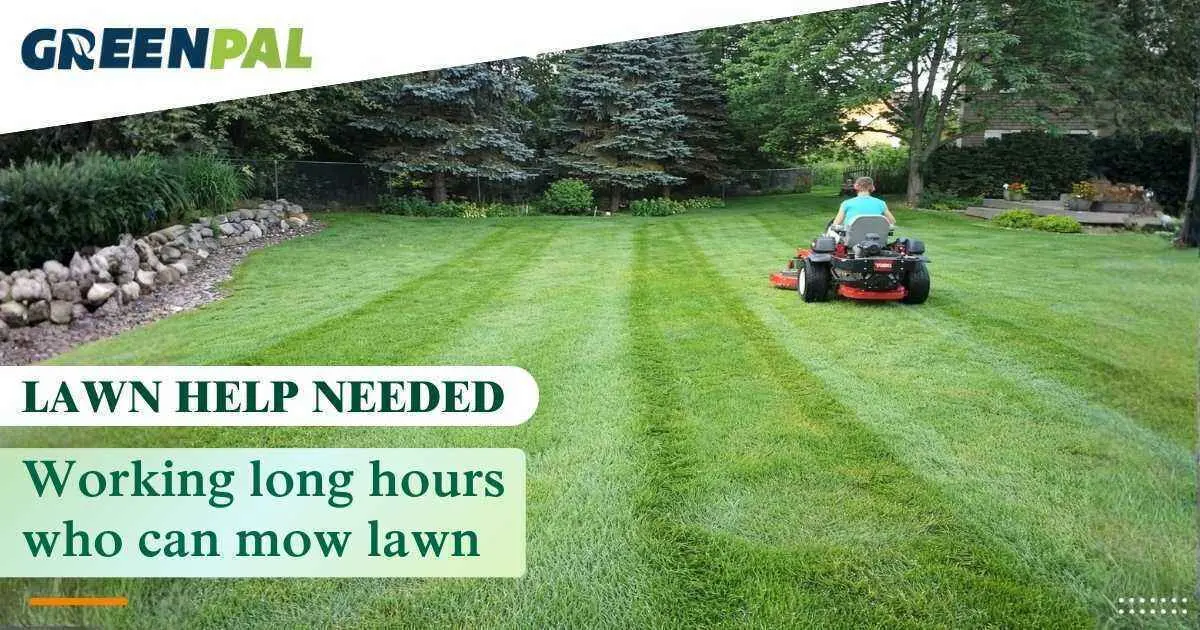 I work long hours and need someone to handle my lawn. What are my