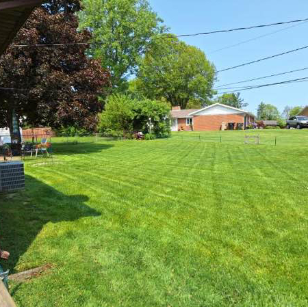 Alpha Omega Home Ser Lawn Care Services in South Bend, IN