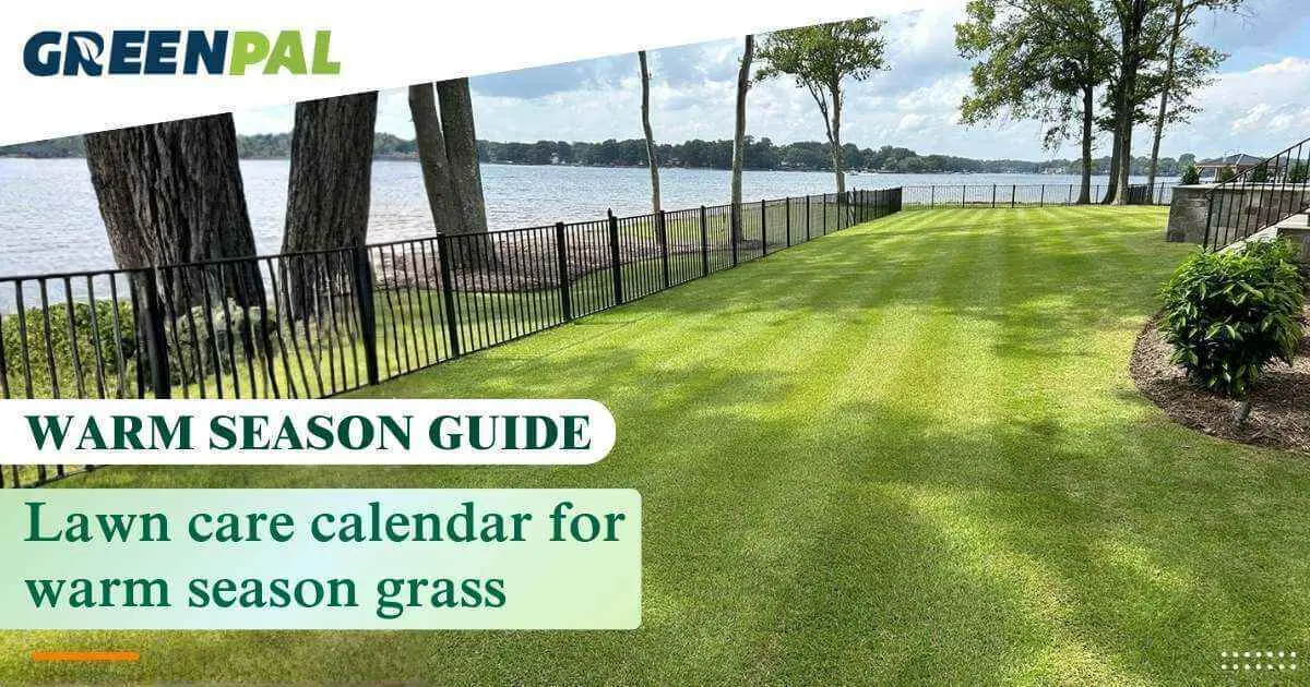 Warm-Season Grass Lawn Care Calendar: Year-Round Tips | GreenPal