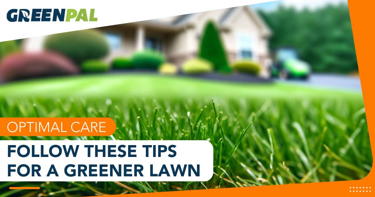 Want a great looking lawn? Here are the best lawn mowing practices