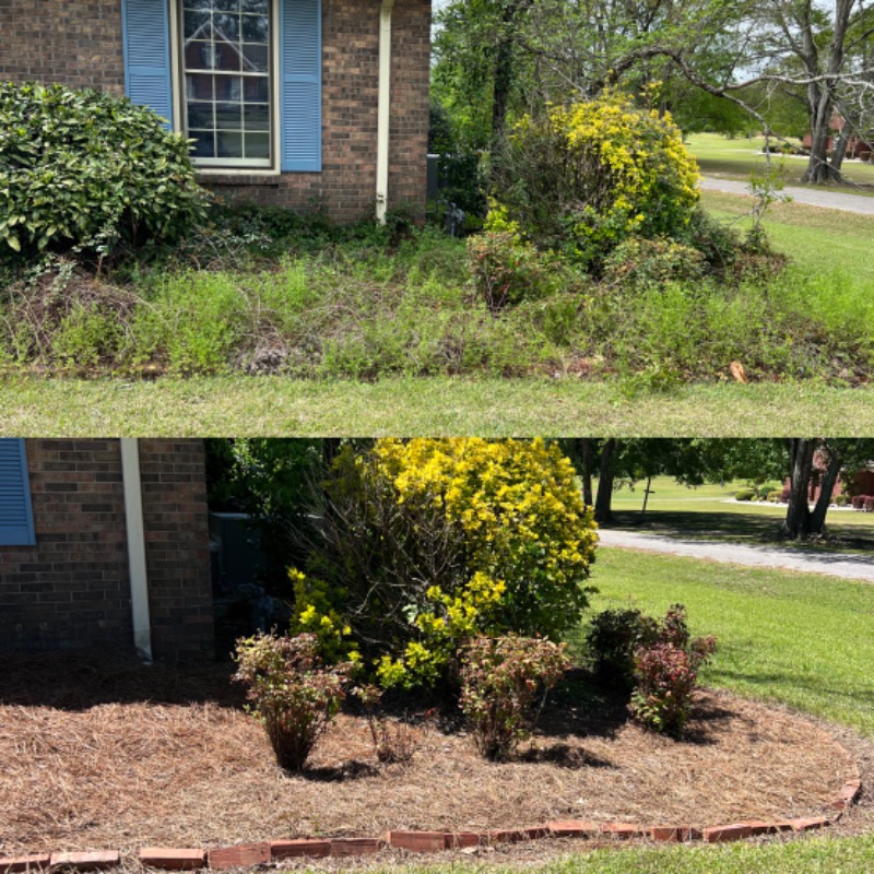 Cleanscapes Lawn Care Services in Clanton, AL