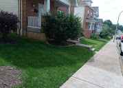 Lawn Love Lawn Care Services in East St. Louis, IL
