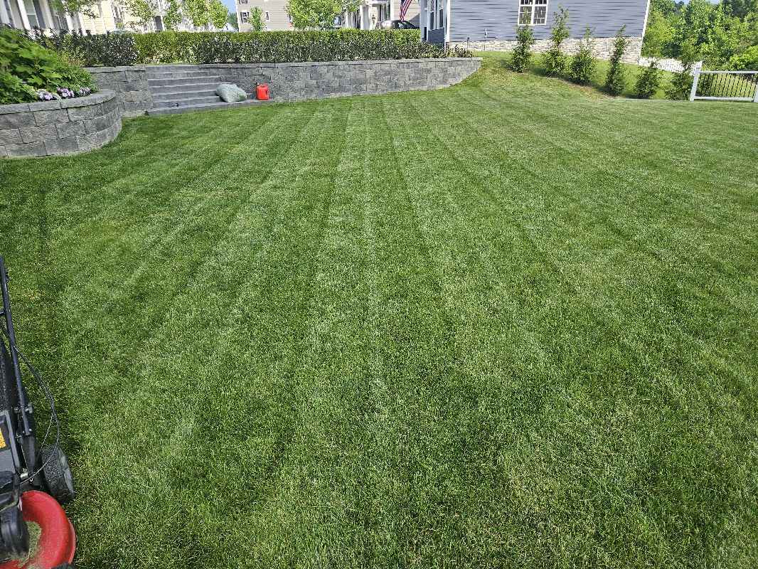 Acut Above Lawn Care Lawn Care Services in Russellton, PA